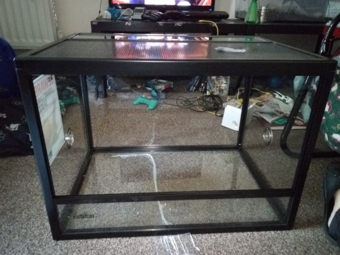 Setting up an IMPROVED Giant Land Snail tank - Letti's Life