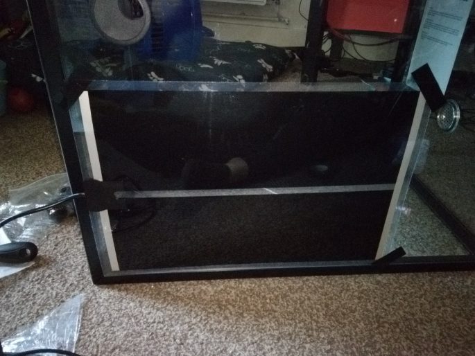 Setting up an IMPROVED Giant Land Snail tank - Letti's Life