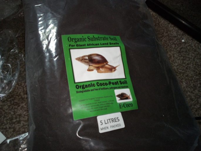 Setting up an IMPROVED Giant Land Snail tank - Letti's Life